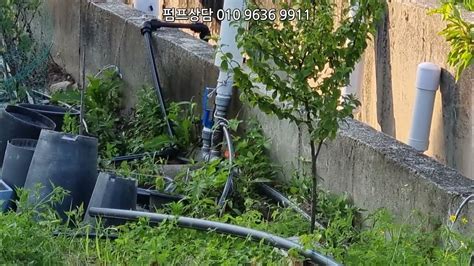 전기나 기름없이 엄청큰밭에 물을주는 무동력펌프의 위력 Youtube