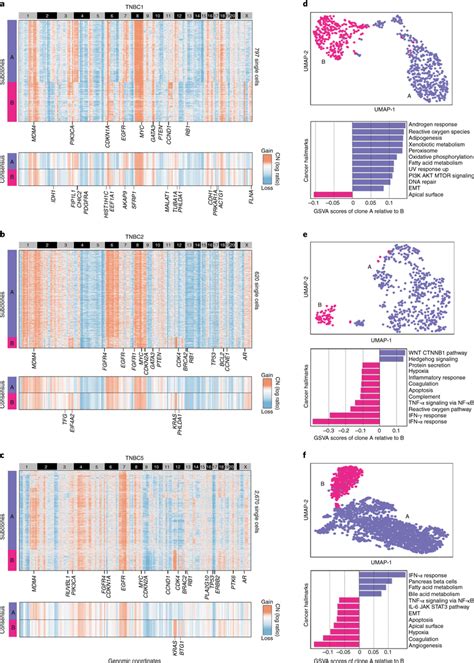Clonal Substructure Of Three Triple Negative Breast Tumors Clonal