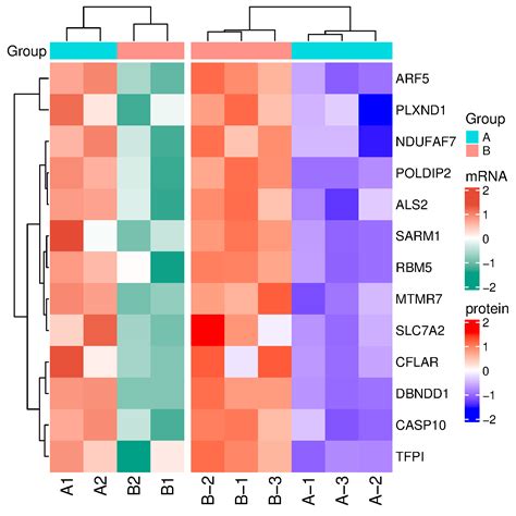 微生信 在线绘制左右组合热图