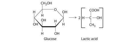 Lactic Acid Lewis Structure