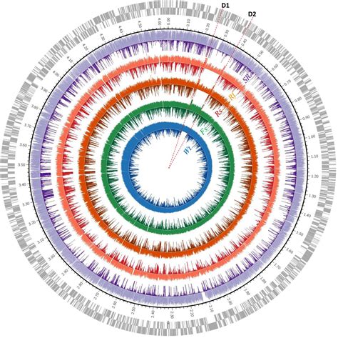 Sampla Mutation Frameshift Exonskipdb Functional Annotation Of Exon