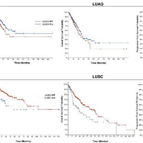 P53 Mutation In Luad And Lusc Is Associated With Multiple Exacerbated