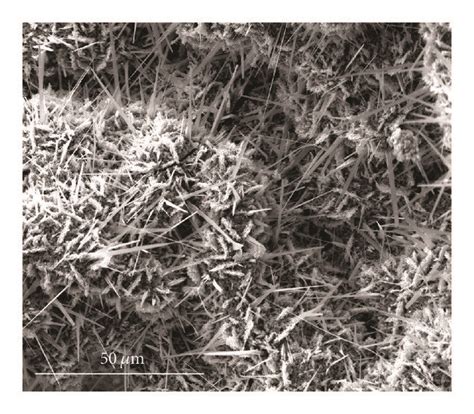 A Free Standing And Flexible Zno Nanowire Filled Pvdf Composite B