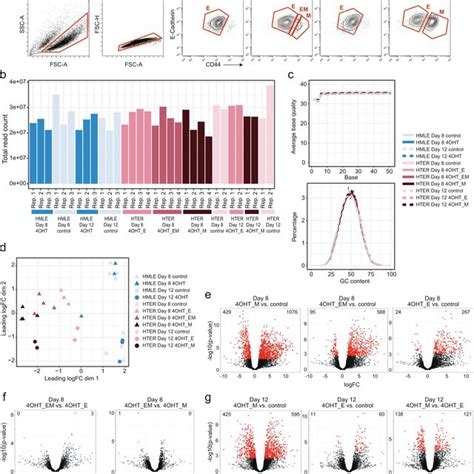 Transcriptomic Profiling Of Emt Undergoing Mammary Epithelial Cells Download Scientific