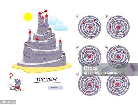 어린이와 성인을 위한 논리 퍼즐 게임 3d 미로 타워의 정확한 평면도를 찾아야합니다 수수께끼 책의 인쇄 가능한 페이지입니다 공간적 사고 능력 개발 Iq 테스트 플랫