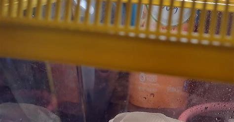 Mouthful Of Waxworm Album On Imgur