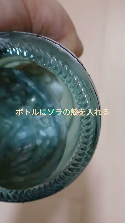 병속에 소라 🐚 껍데기 넣기 Youtube