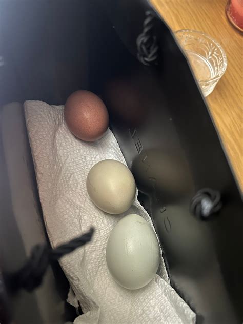 Mearl Purvis Mearl Purvis Added A New Photo