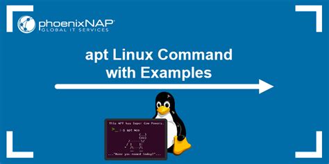 apt linux command with examples phoenixnap kb