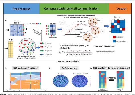 Figure From Revealing Cellcell Communication Pathways With Their Spatially Coupled Gene