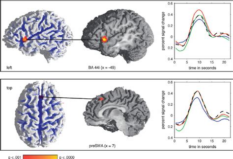 Linguistic Complexity Effect Brain Regions Sensitive To Linguistic