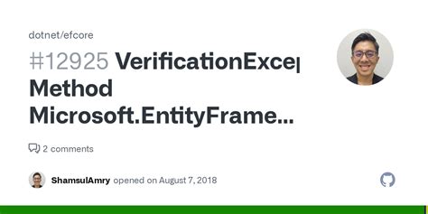 Verificationexception Method Microsoftentityframeworkcorequery