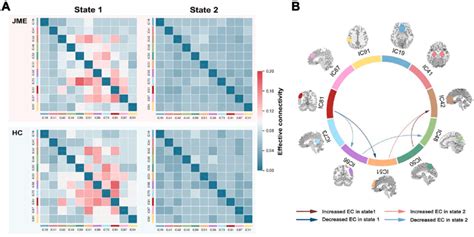 Dynamic Effective Connectivity Patterns For Two Groups A