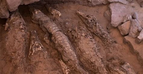 당장이라도 움직일듯고대 이집트 ‘미라 악어 무더기 발견 핵잼 사이언스