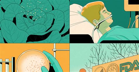 Fda Faces Scrutiny Over Silent E Coli Outbreak Across 15 States — Belstad