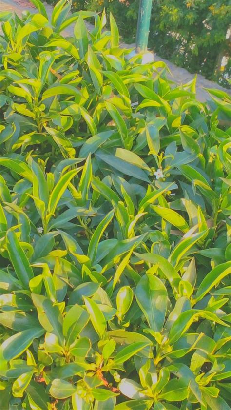 Color Cortex Colorcortex Profile Pinterest