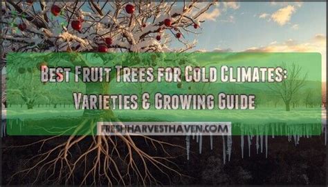 Best Fruit Trees For Cold Climates Varieties And Growing Guide