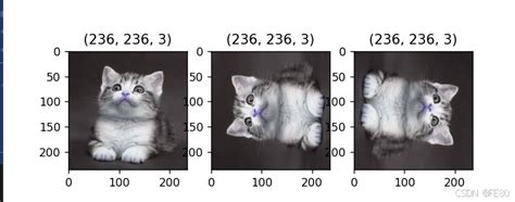 图像处理和计算机视觉任务的python工具库imutils 安装使用imutils库怎么安装 Csdn博客