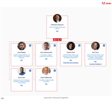 Adobe S Organizational Structure Interactive Chart Organimi