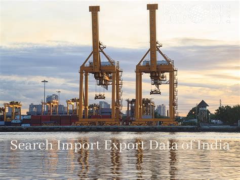 Export Import Data