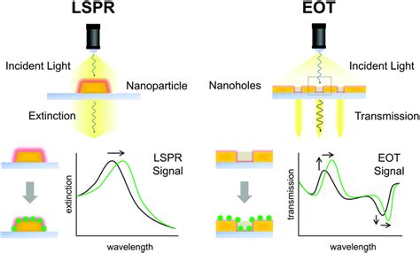 Schematic Illustration Of Principles Of The Plasmonic Metallic Download Scientific Diagram