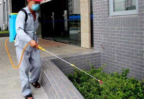 上海灭四害 上海灭鼠公司 上海有害生物防制 上海拜洁威环保科技有限公司