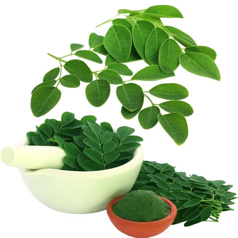 Moringa Leaves
