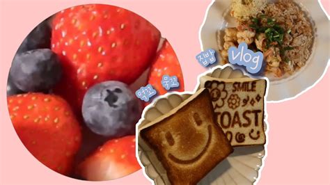 Vlog 이것저것 해먹는 일상 그릭요거트 토스트 차지키소스 김치전 떡만두국 감자샐러드 새우버터마늘볶음밥 신혼부부 집밥 브이로그 Youtube