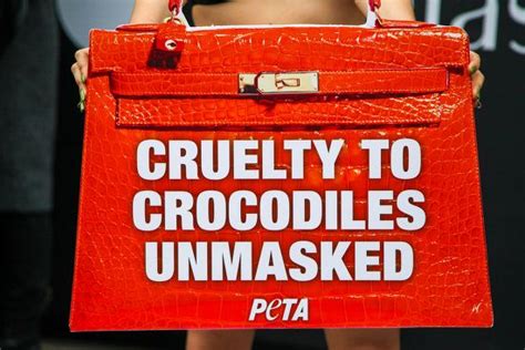 Three Nearly Naked Female Demonstrators Dressed Editorial Stock Photo Stock Image Shutterstock