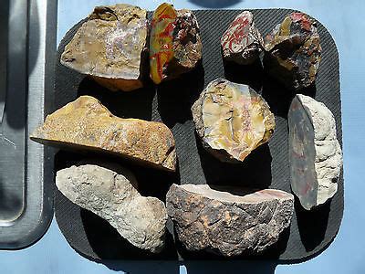 Utah Jurassic Jasper Agate Rough 3 Pounds 515791334