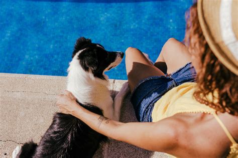 Navigating Pool Ownership Common Pitfalls And How To Avoid Them