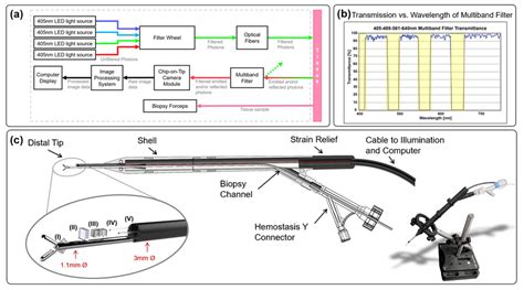 a transmittance of broadband light through custom multiband filter
