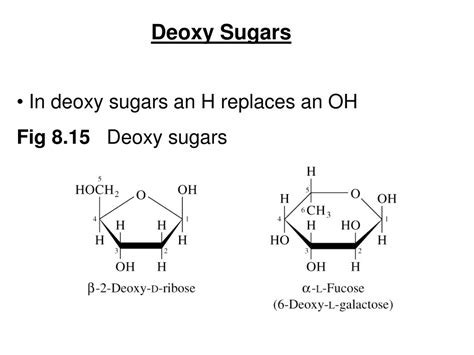 Deoxy Sugars Definition At Ian Milligan Blog