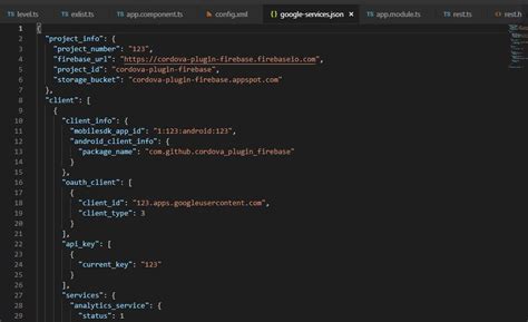 Issue With Firebase No Matching Client Found For Package Name Iogym