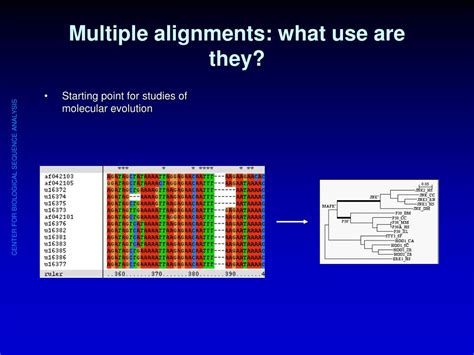 PPT Multiple Alignment PowerPoint Presentation Free Download ID