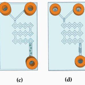 Schematic Representation Of The Devices CAD Design A Representation Download Scientific