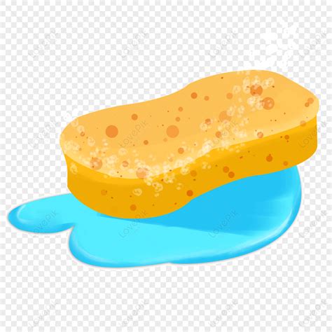 Sponge Absorbing Water At Michael Dittmer Blog
