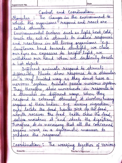 Control And Coordination Notes Class 10 Cbse Pdf Human Anatomy Organ Anatomy