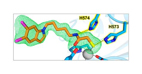 Molecular Basis For The Selective Inhibition Of Histone Deacetylase 6 By A Mercaptoacetamide