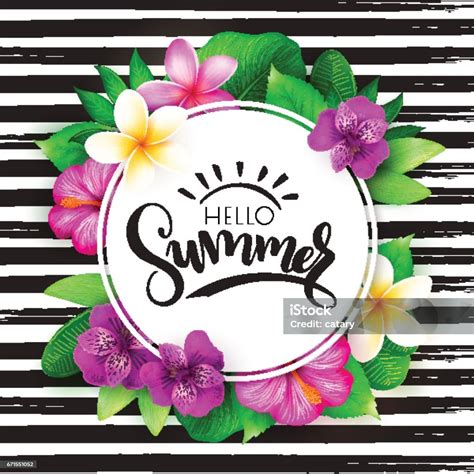 벡터 여름 손 열 대 꽃alstroemeria Plumeria 히 비 스커 스와 수채화 스트립 배경에 잎안녕하세요 여름레터링 0명에 대한 스톡 벡터 아트 및 기타 이미지
