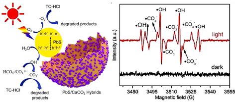 Nanomaterials Free Full Text Emerging Hybrid Nanocomposite