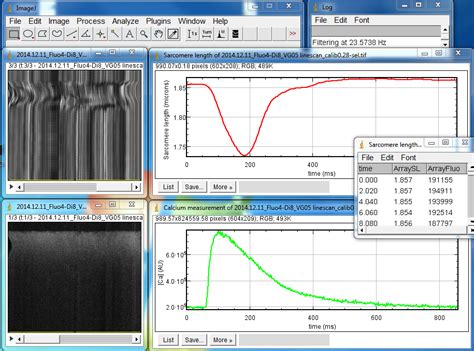 Measuring Cell Fluorescence Using Imagej