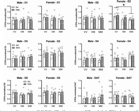 Figure 5 From Enhanced Methamphetamine Sensitisation In A Rat Model Of The Brain Derived