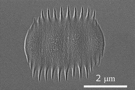 Sem Image Of A Laser Induced Morphology An Elliptical Crater That