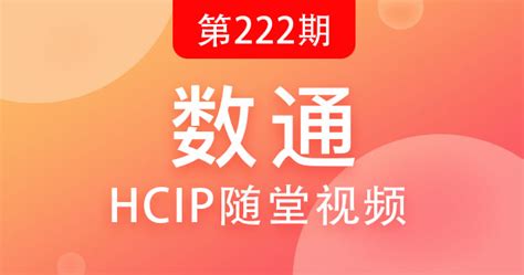 第222期华为数通hcip