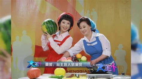 了解一下，央视主持人黄薇个人资料简介 人物集