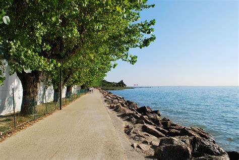 绿树成荫意大利 绿树成荫意大利正 绿树成荫意大利 第3页 大山谷图库