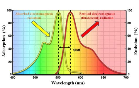 Fluorophore Absorption And Emission Profiles The Energy Of The