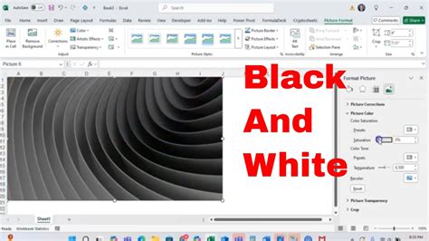 How To Make A Colorful Image Black And White In Microsoft Excel Image