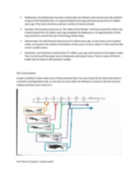 Marine Biodiversity Activity Worksheet Whale Evolution Printable